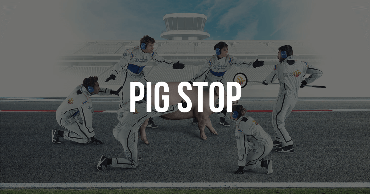 Pig Stop | Mirko Zeppieri